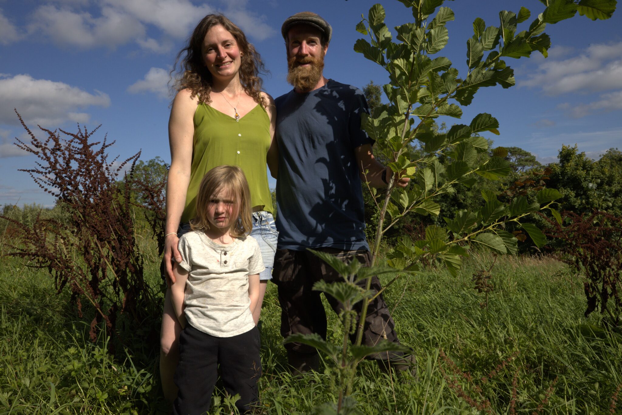 The Hare's Corner - The Hare's Corner